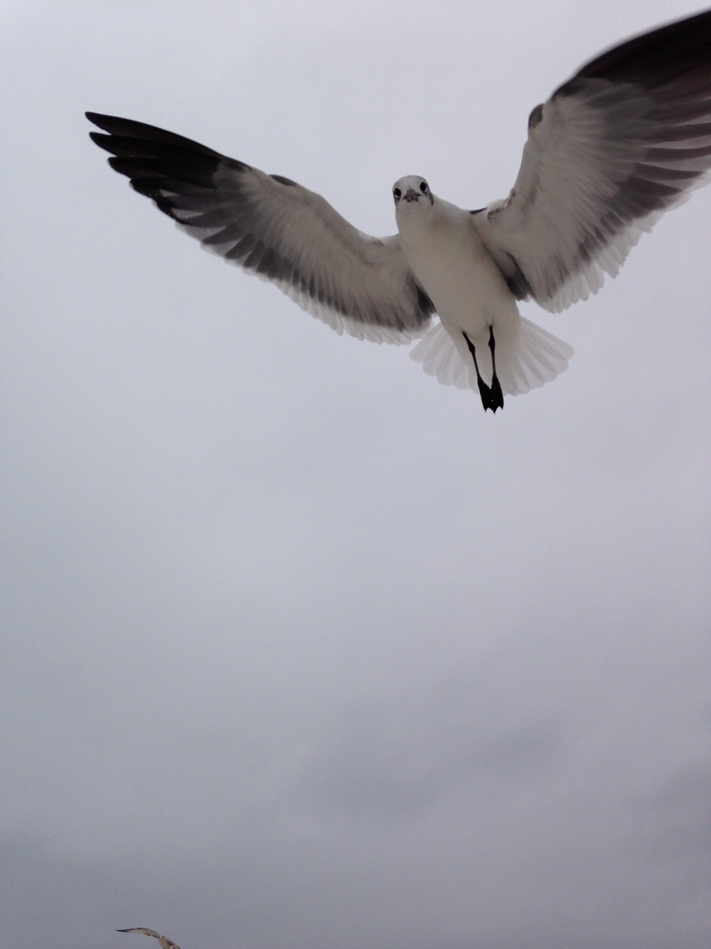 Libby Allen SongsWINTER AT THE BEACH :) - Libby Allen Songs