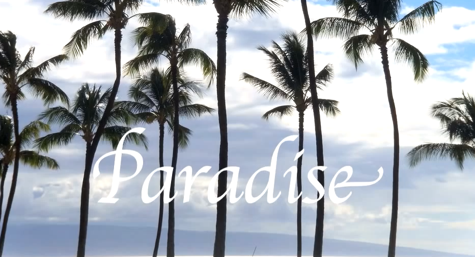 Libby Allen SongsParadise (female vocal) - Libby Allen Songs