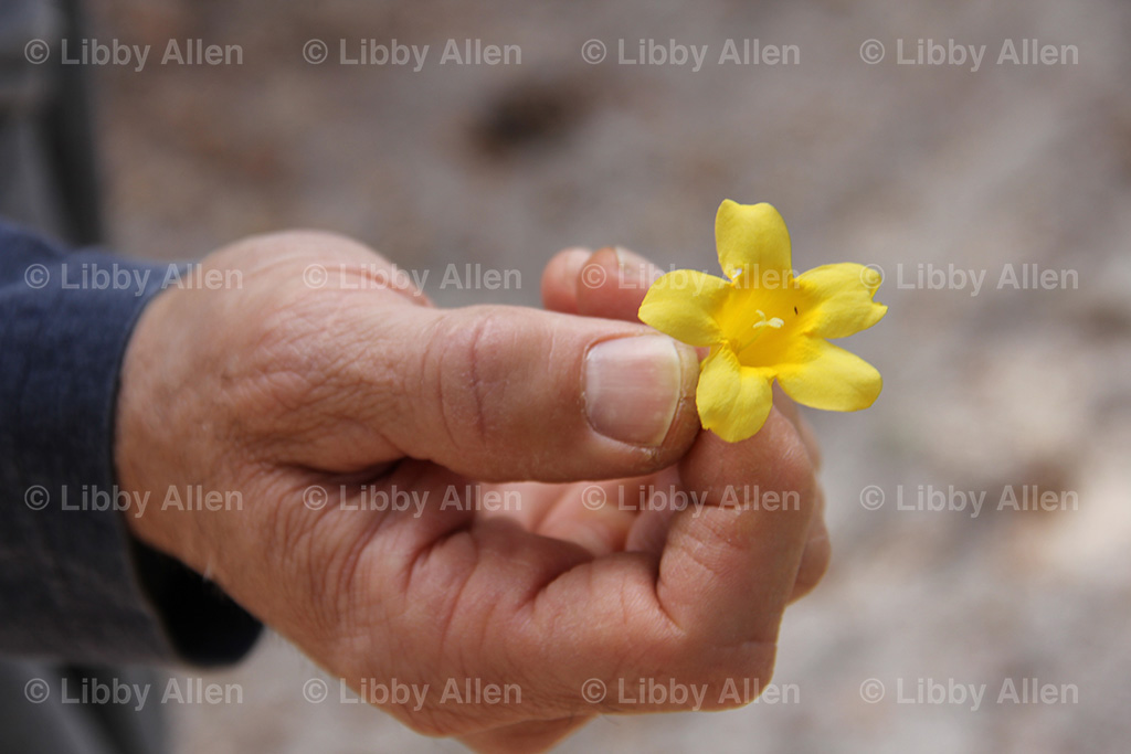 Libby Allen SongsNEW GUITAR! - Libby Allen Songs